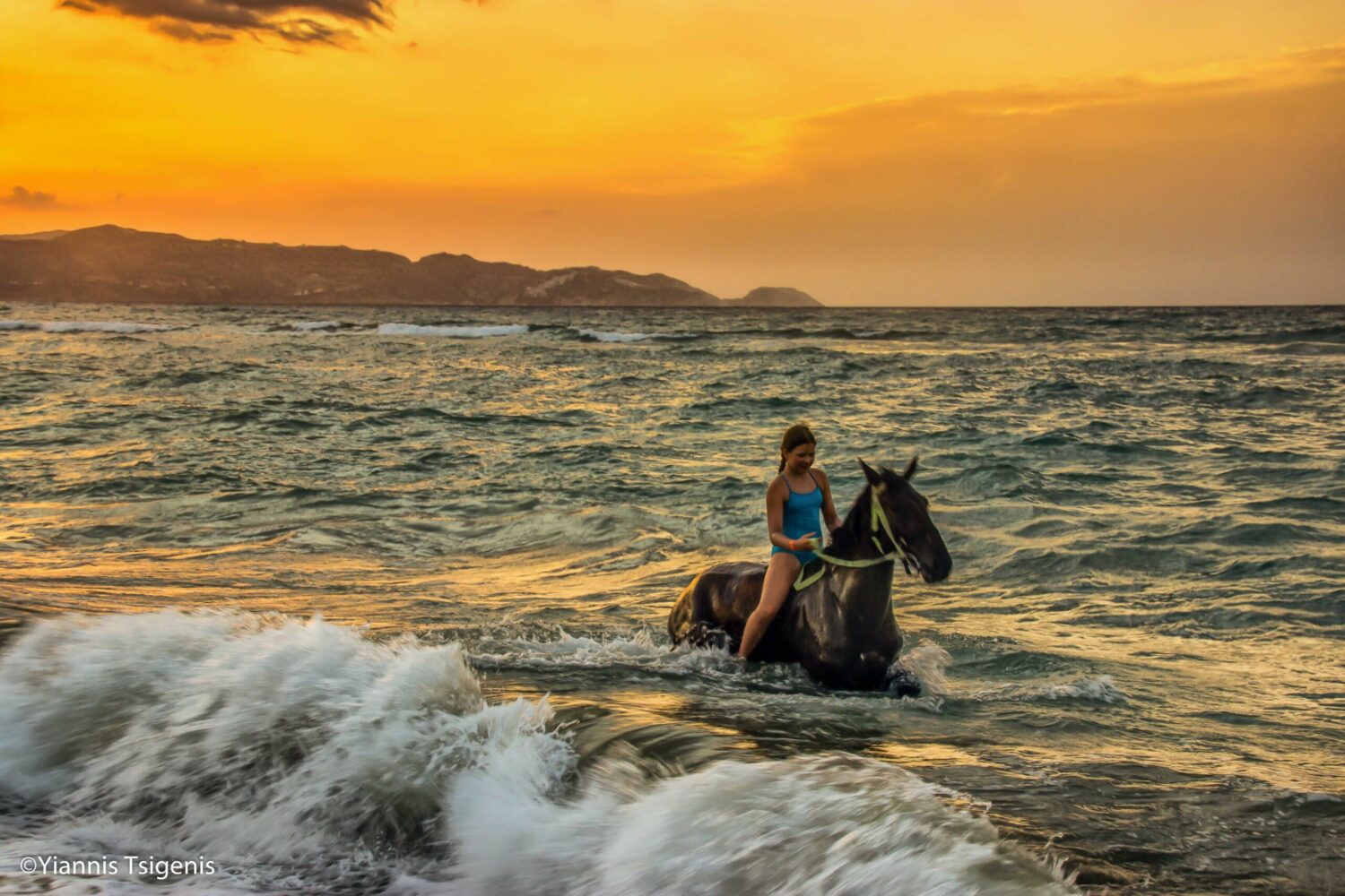 Horse riding on the beach - Book today your Beach ride